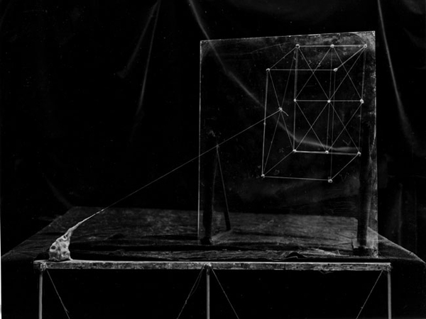 Zeke Berman: Thoughts and Pictures at an Exhibition - Professional ...